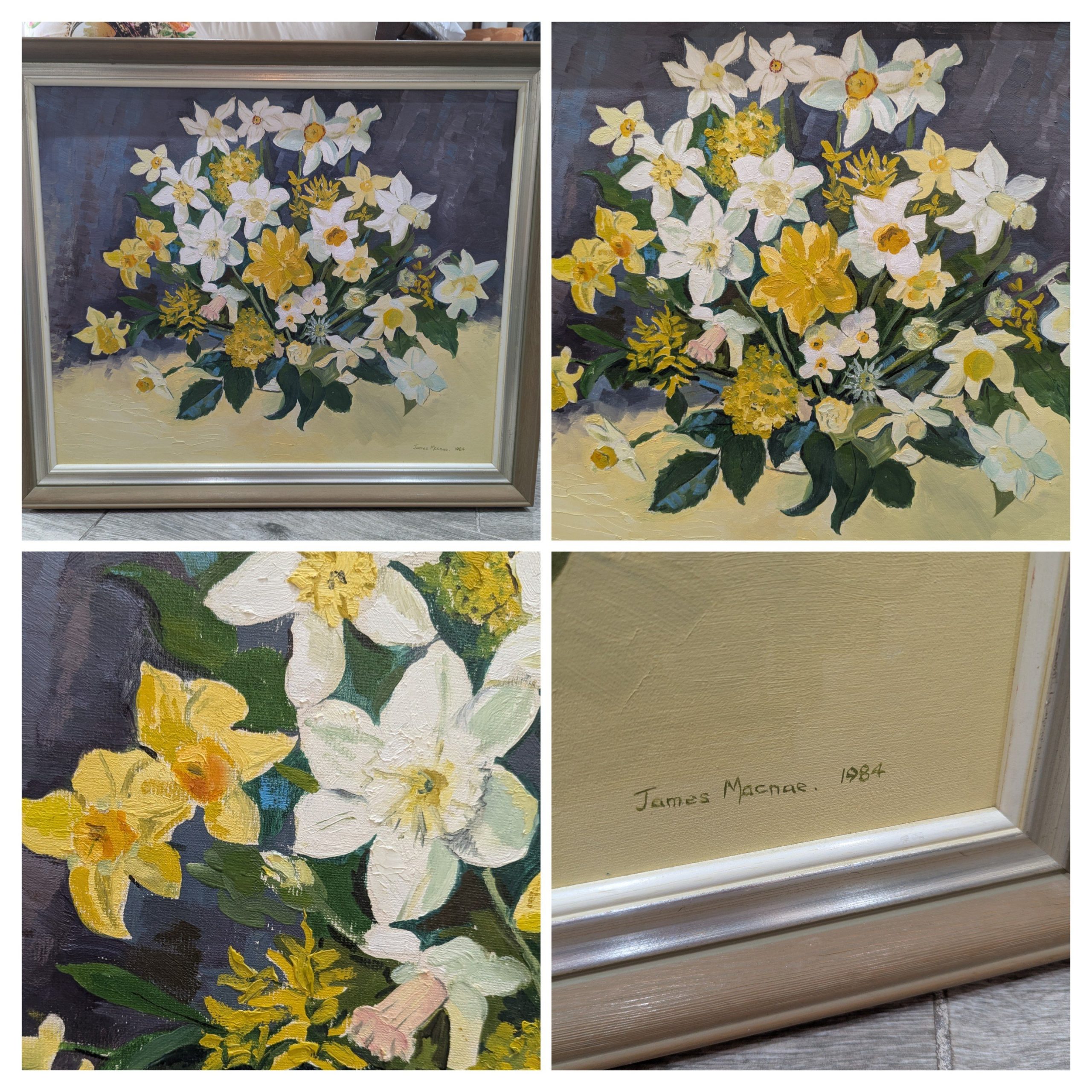 " Different Types of Daffodils" by James MacNae - Holytown Antiques